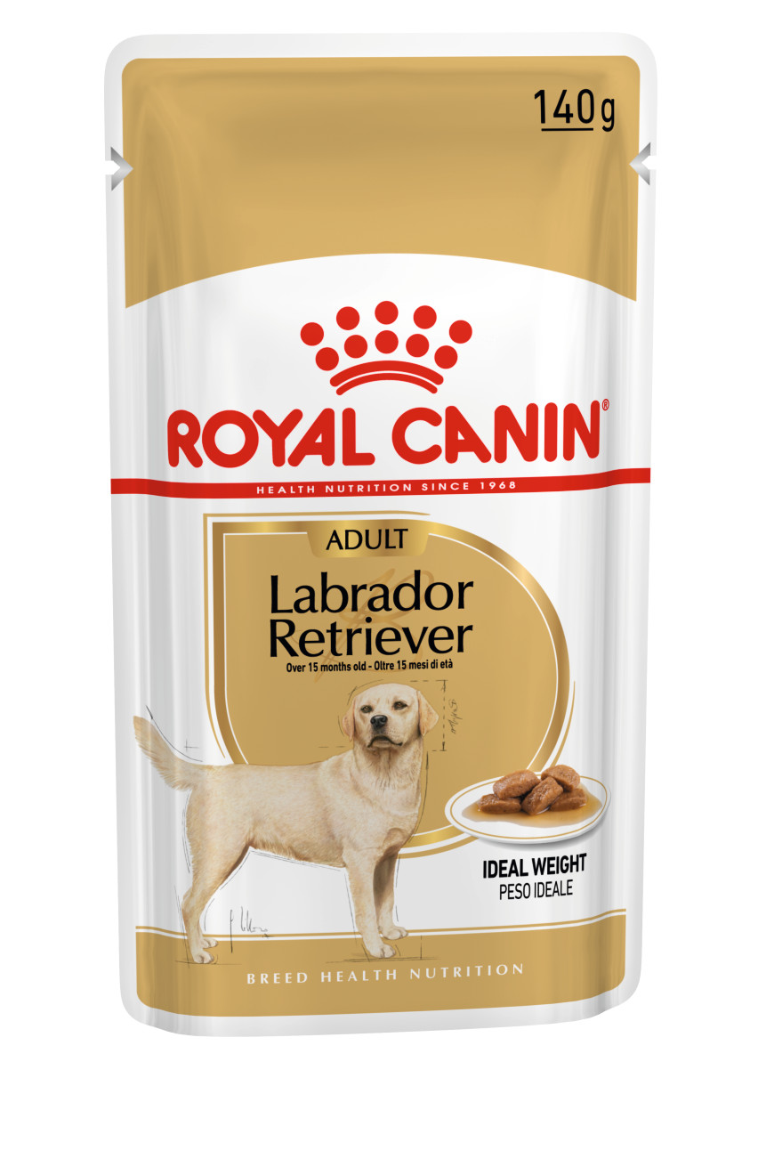 Royal Canin Adult Labrador Retriever umido cane | Economico | Online